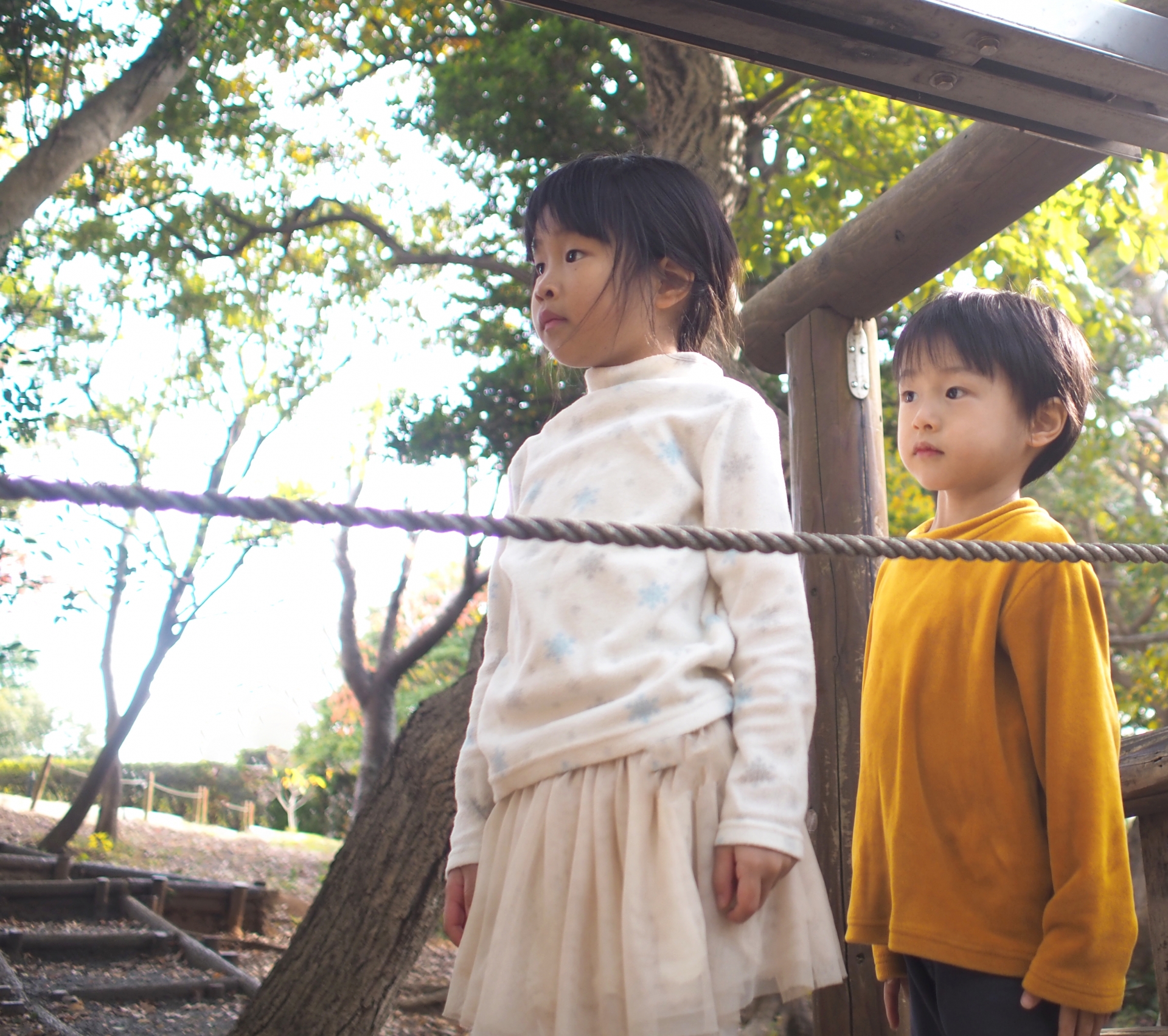 5歳児の発達の特徴と接し方を徹底解説【中間反抗期を乗り越えよう】 - 知育ぽっけ